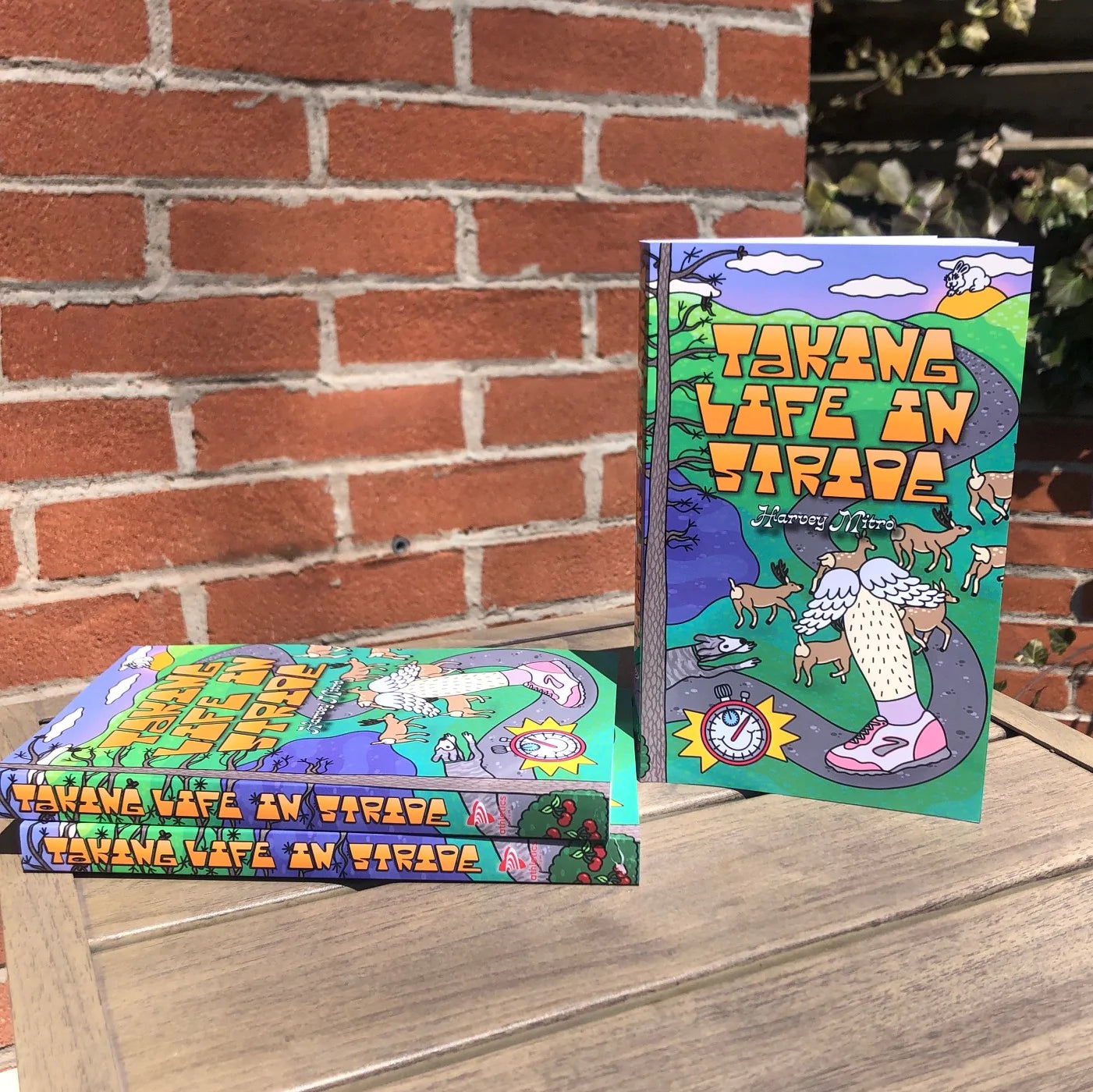 Taking Life in Stride Book (Soft Cover) | The Runners Shop Toronto